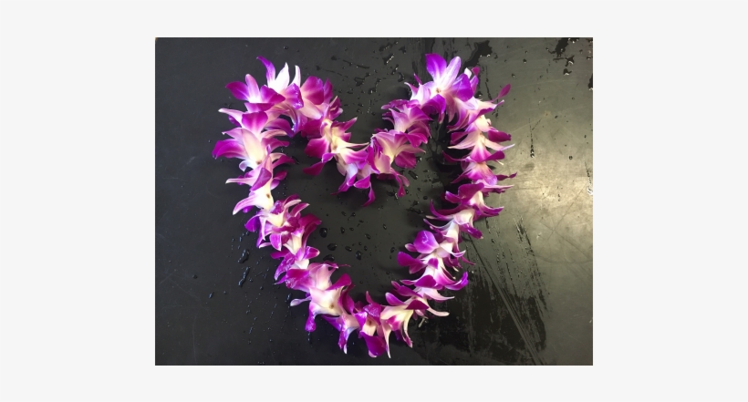 Single Purple Dendrob Orchid Lei - Dendrobium PNG Image | Transparent ...