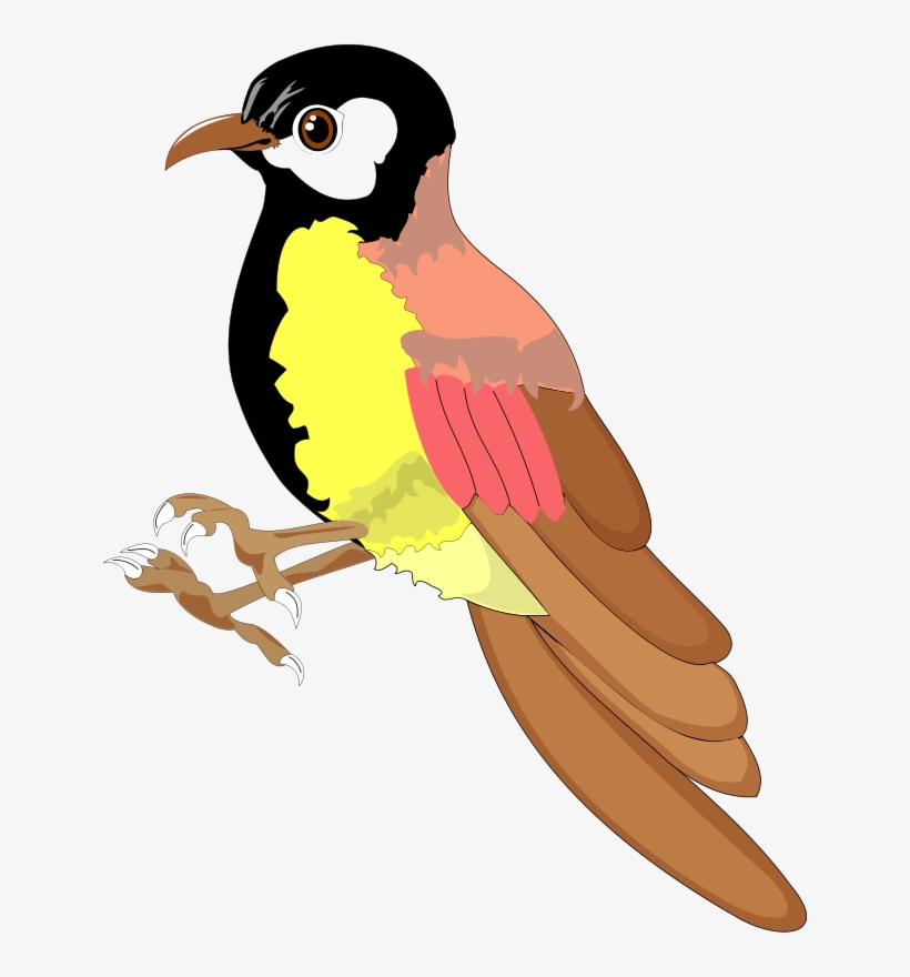 Download Free Vector Bird - Bird | Transparent PNG Download | SeekPNG