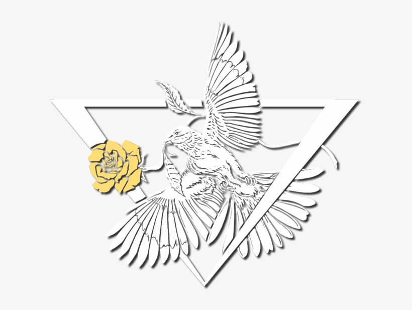 Texas Mockingbird Symbol - Human PNG Image | Transparent PNG Free ...