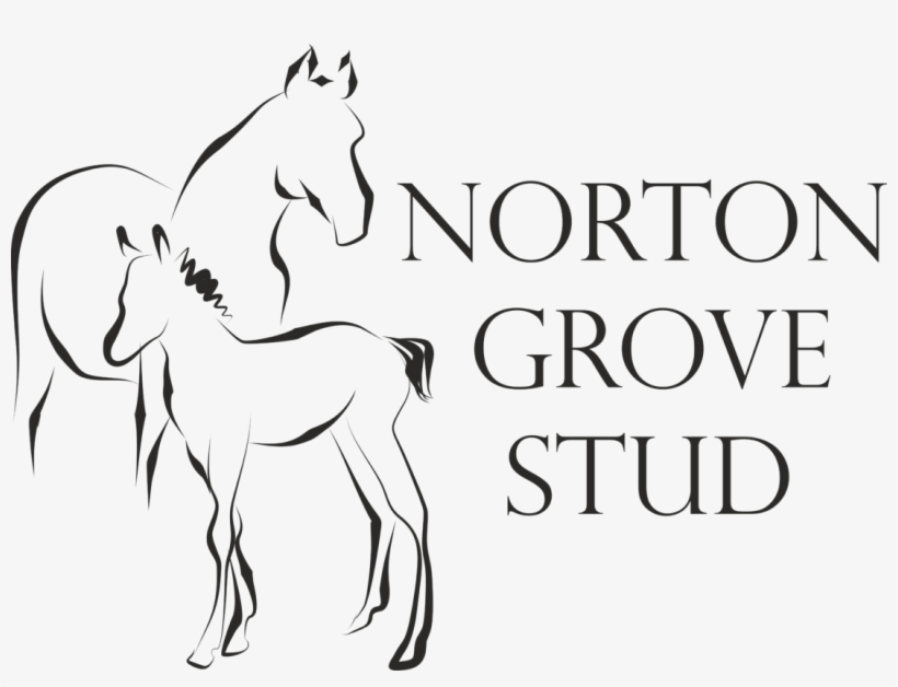 1100 × 789 In Norton Grove Stud Logo - Foal PNG Image | Transparent PNG ...