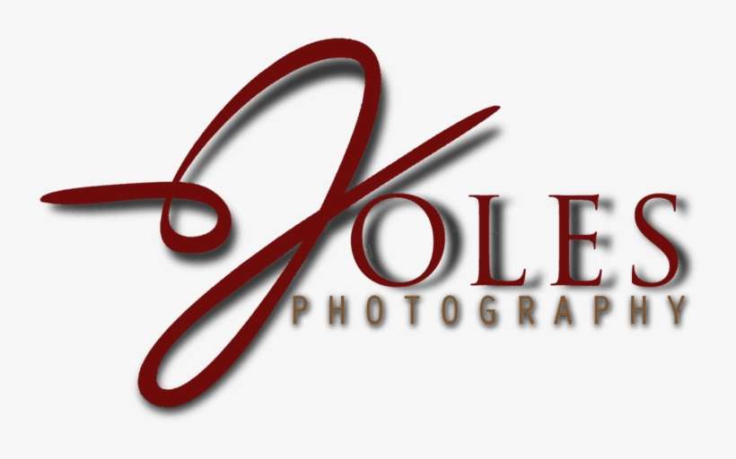 January 10, 2019 - Logo PNG Image | Transparent PNG Free Download on ...