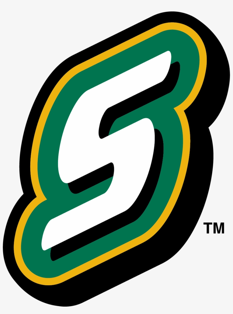 Southeastern Louisiana Lions Logo PNG Image | Transparent PNG Free ...
