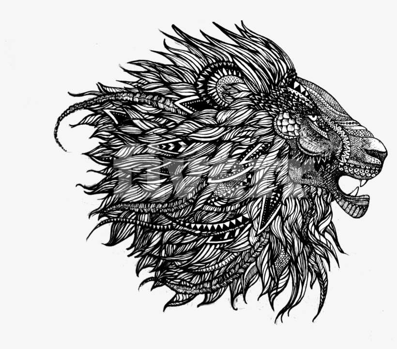 Sketch PNG Image | Transparent PNG Free Download on SeekPNG