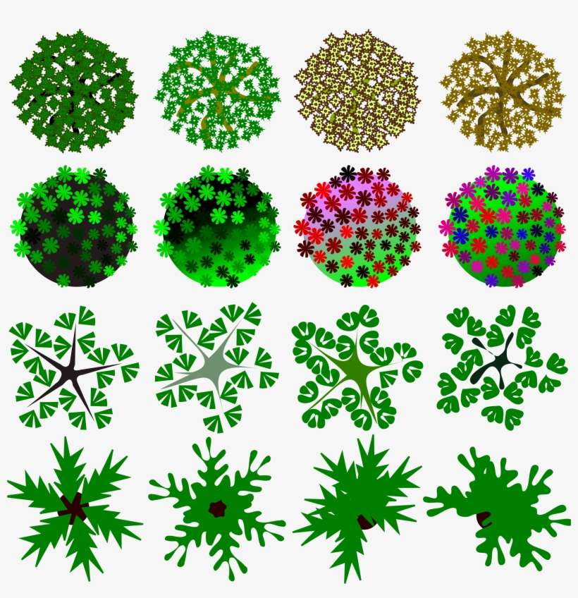 Tree Top View Banner Freeuse Download PNG Image | Transparent PNG Free ...