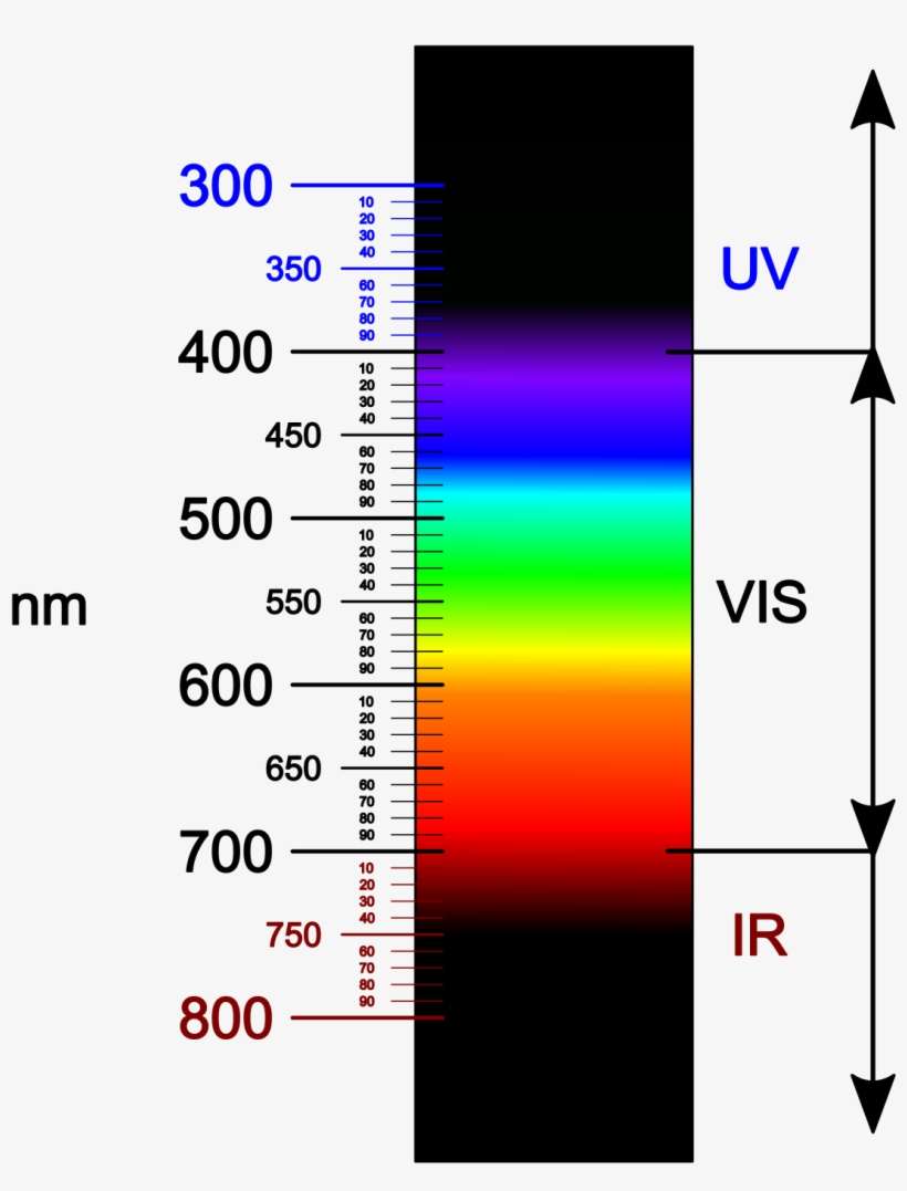 Download Electromagnetic Spectrum | Transparent PNG Download | SeekPNG