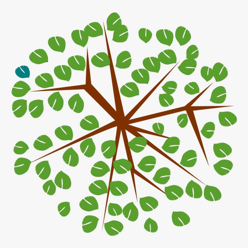 Free Tree-12c - Clip Art Tree From Above PNG Image | Transparent PNG ...