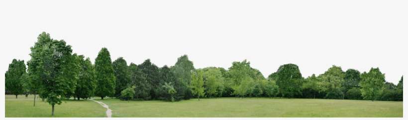 Download Tree Line Backgrounds | Transparent PNG Download | SeekPNG