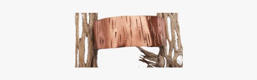 Tree Bark Top View Transparent3 - Driftwood PNG Image | Transparent PNG ...