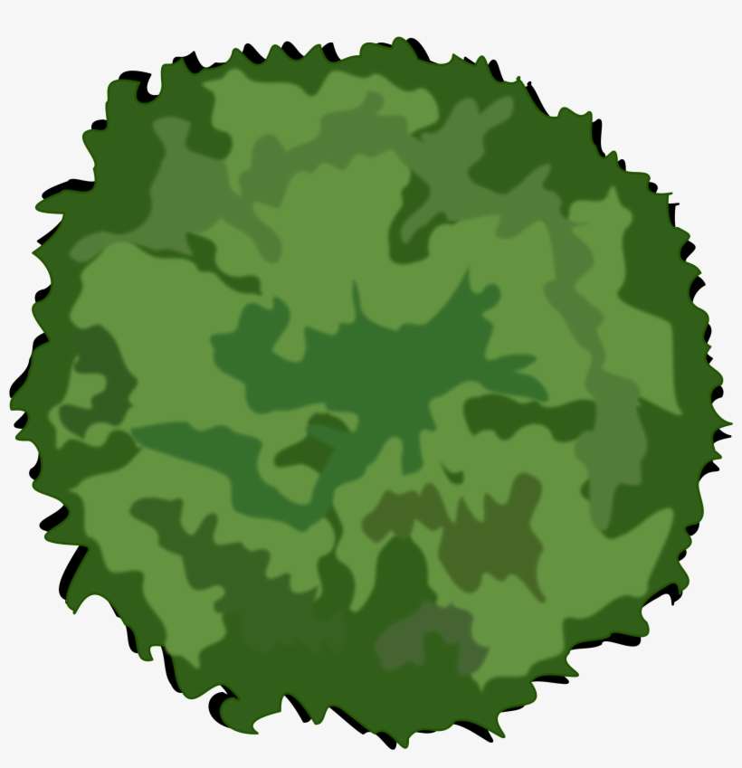 Tree Top View Clipart PNG Image | Transparent PNG Free Download on SeekPNG