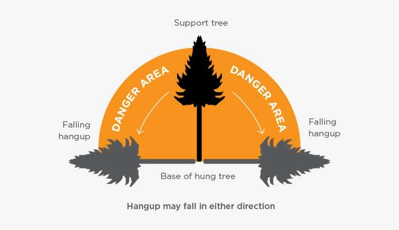 [image] Infographic Showing Support Tree And Danger - Felling Tree Safe ...