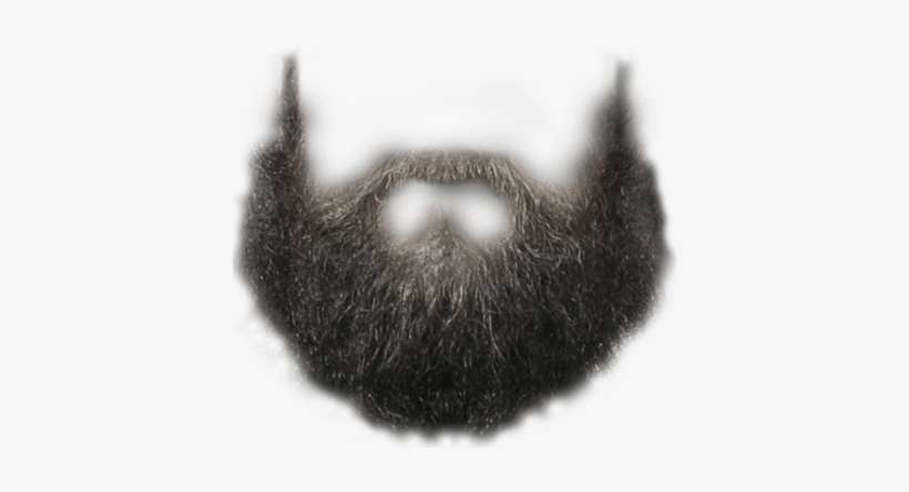 Beard Png PNG Image | Transparent PNG Free Download on SeekPNG
