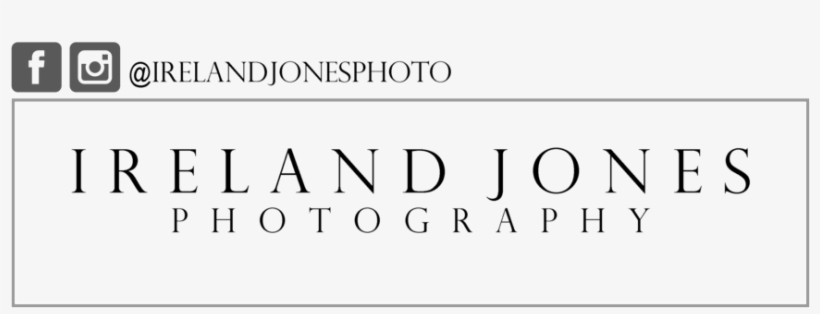 Photography PNG Image | Transparent PNG Free Download on SeekPNG