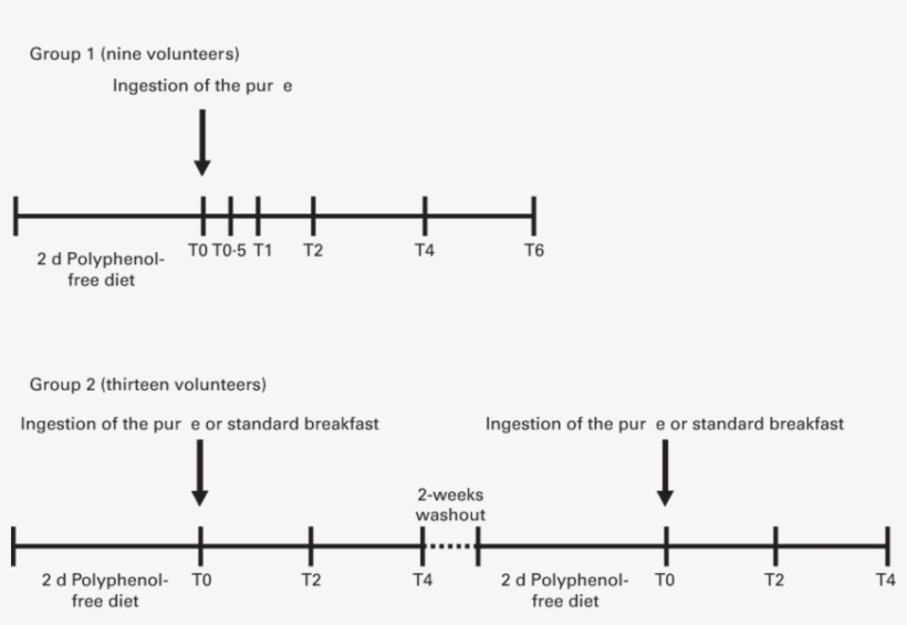 Representation Of The Timeline Of The Intervention - Timeline PNG Image ...