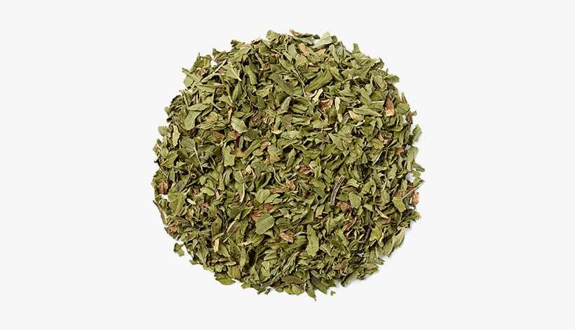 Egyptian Mint Tea - Mint PNG Image | Transparent PNG Free Download on ...