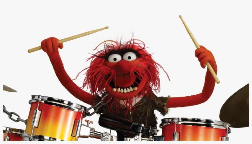 Animal Muppets Drums Gif