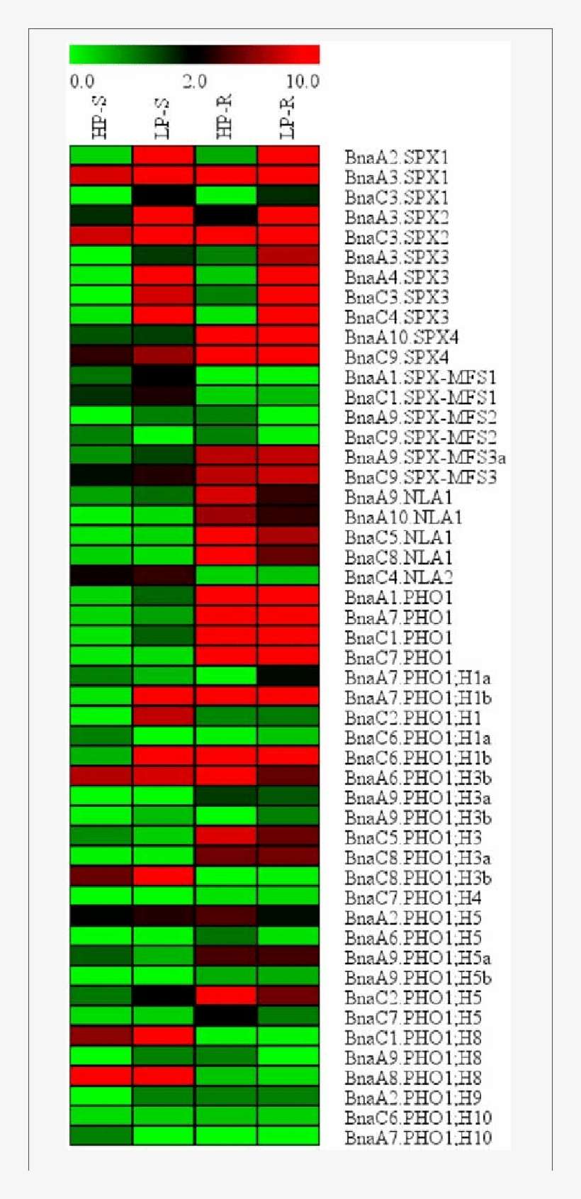 Normalized Gene Expression Values Are Shown In Different - Pattern PNG ...