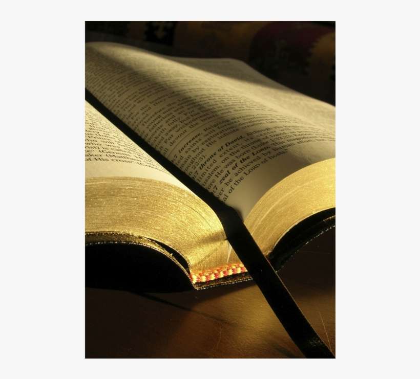 Bible Opening PNG Image | Transparent PNG Free Download on SeekPNG