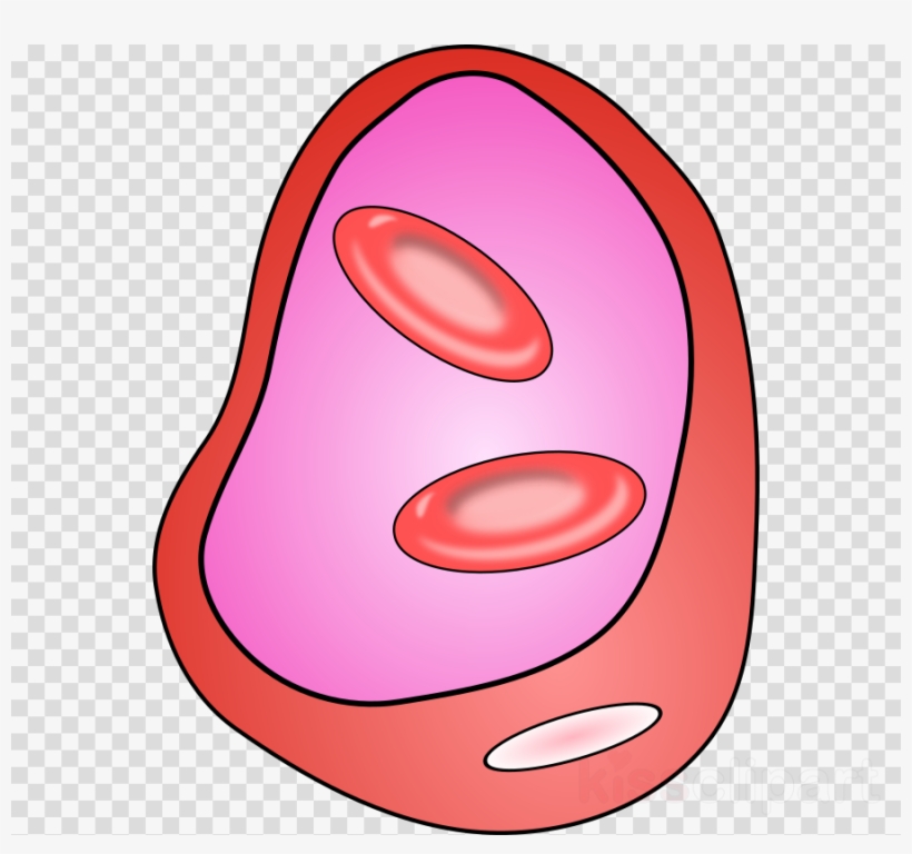 Cell Clipart Cell Clip Art - Minus Sign No Background PNG Image ...