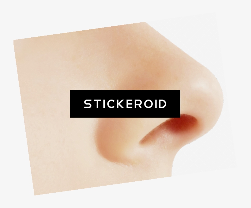 Human Nose - Girl PNG Image | Transparent PNG Free Download on SeekPNG