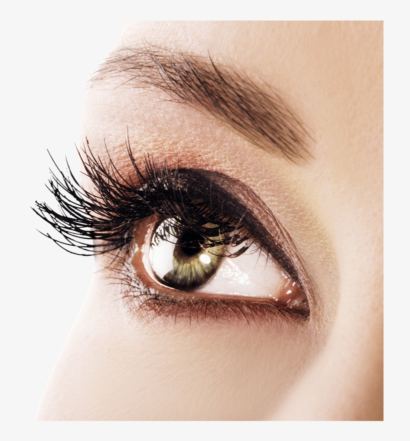 Healthy Eye PNG Image | Transparent PNG Free Download on SeekPNG