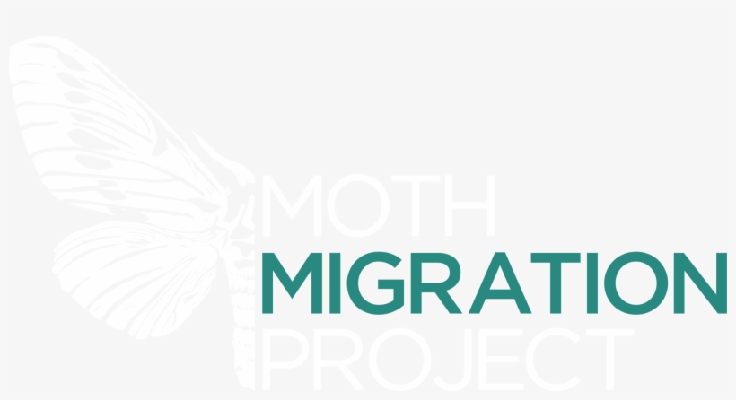 Moth Migration Project - Logo PNG Image | Transparent PNG Free Download ...