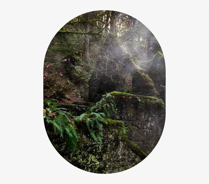 Ruins Covered In Moss - Portland PNG Image | Transparent PNG Free ...