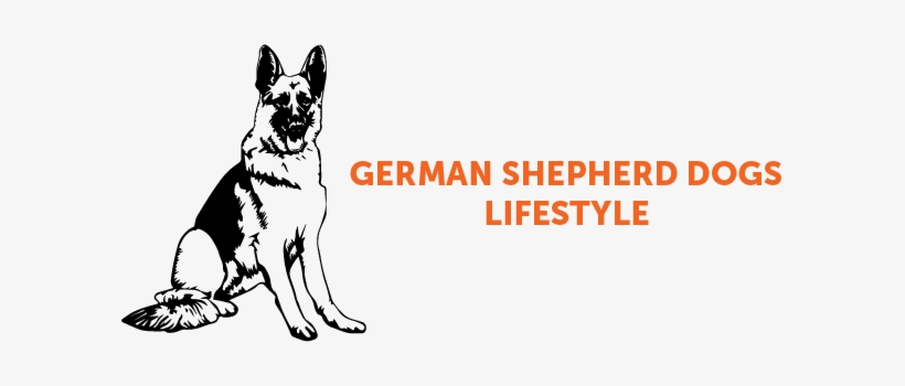 Download Essential Information On Your German Shepherd Dogs - Shepherd ...