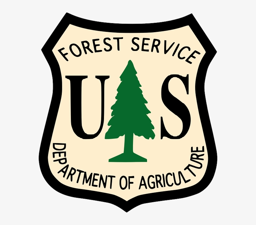 Download Service, Usa, Logo, Forest - Us Forest Service Png ...