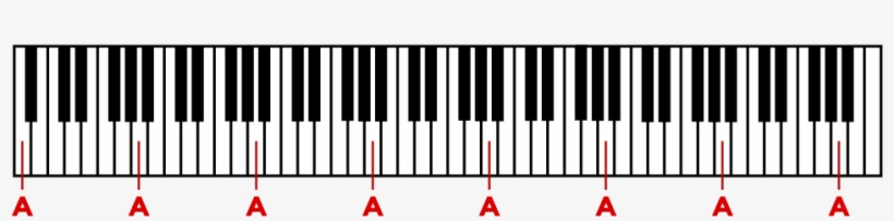 Let's Learn The Musical Notes Of The White Keys Starting - Many Keys On ...