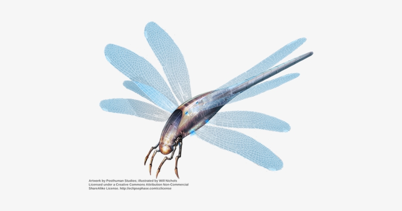 Dragonfly - Wiki PNG Image | Transparent PNG Free Download on SeekPNG