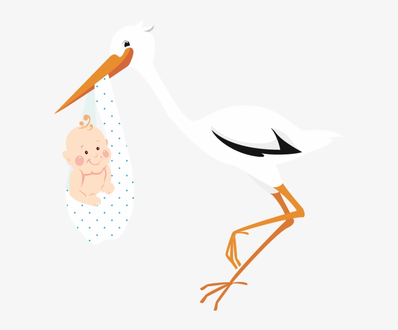 Stork Baby 2 - Illustration PNG Image | Transparent PNG Free Download ...