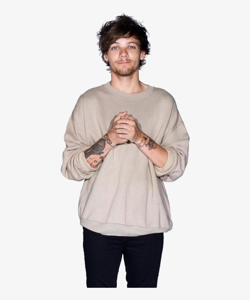 Louis Tomlinson Png - Tinyfashion One Direction 1d 2015 Without Zayn ...