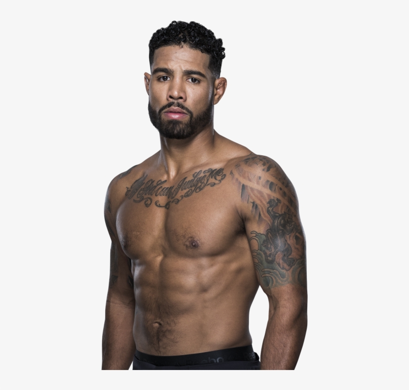 Biography - Mixed Martial Arts PNG Image | Transparent PNG Free ...
