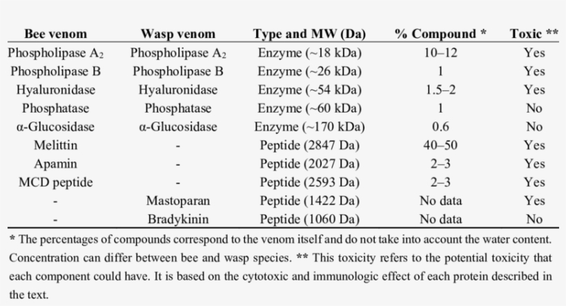Main Proteins And Peptides Found In Bee And Wasp Venom - Wasp PNG Image ...