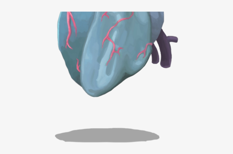 Corrupt Heart PNG Image | Transparent PNG Free Download on SeekPNG