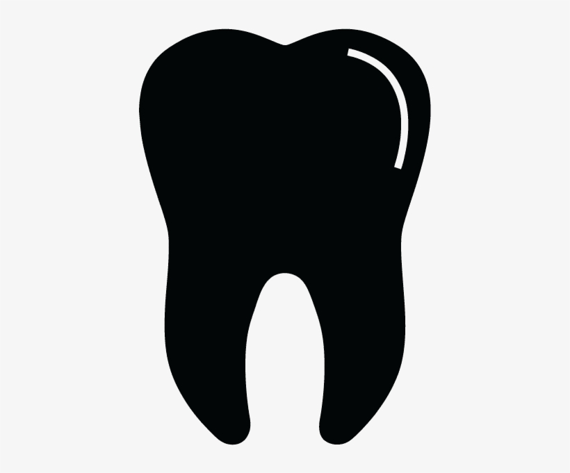 Tooth - Human Tooth PNG Image | Transparent PNG Free Download on SeekPNG