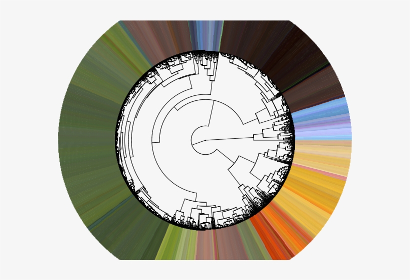 Parallel Coordinates PNG Image | Transparent PNG Free Download on SeekPNG