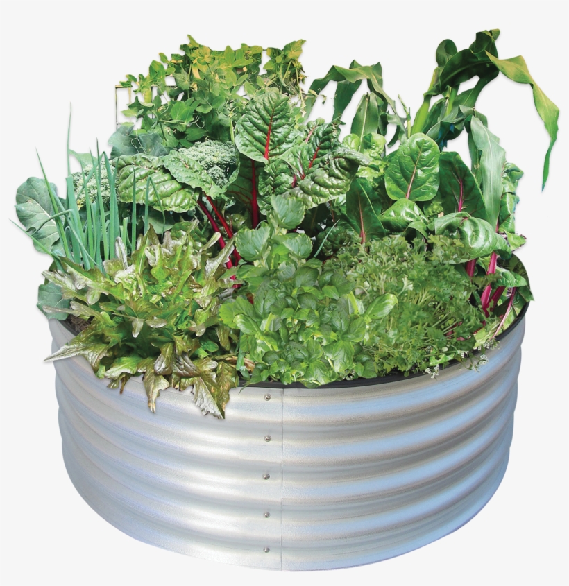 Circular Veggie Patch PNG Image | Transparent PNG Free Download on SeekPNG