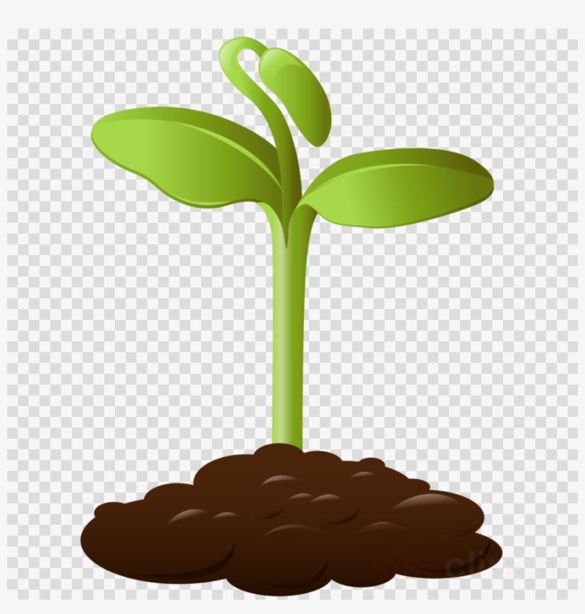 Download Crops Transparent Background Clipart Crop Clip Art - Crops ...