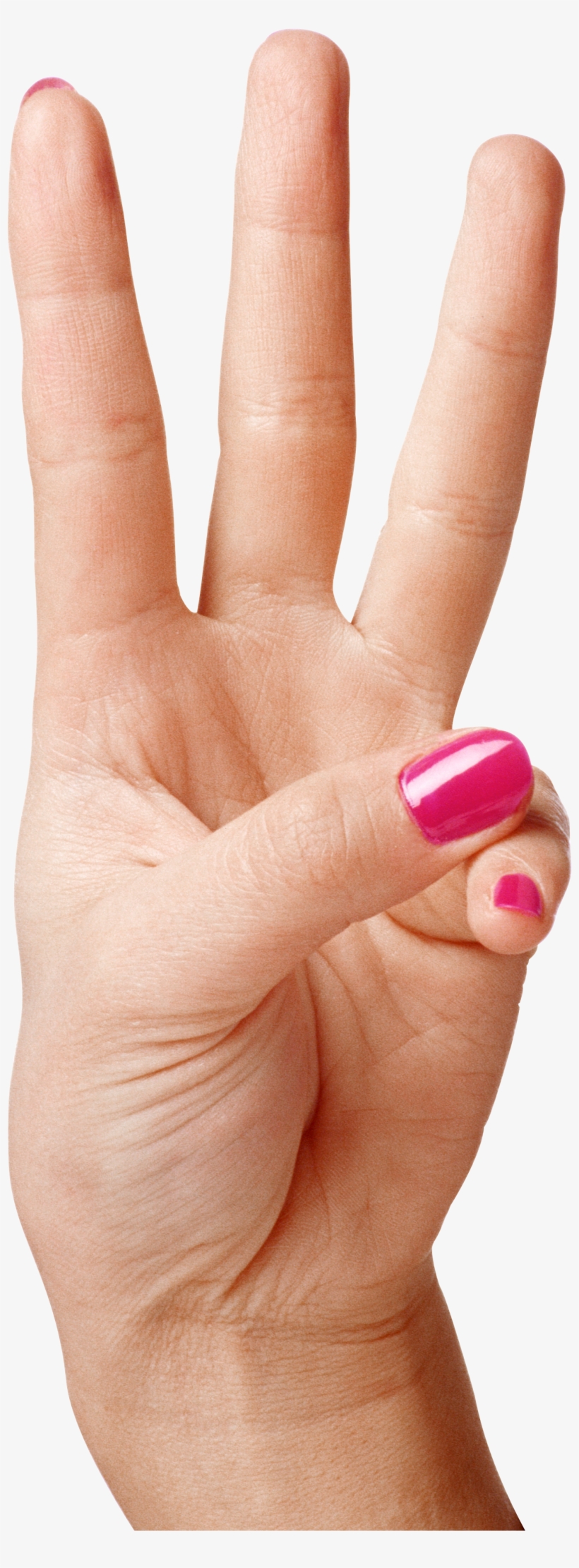 Graphic Black And White Download Hand Showing Fingers - Finger PNG ...