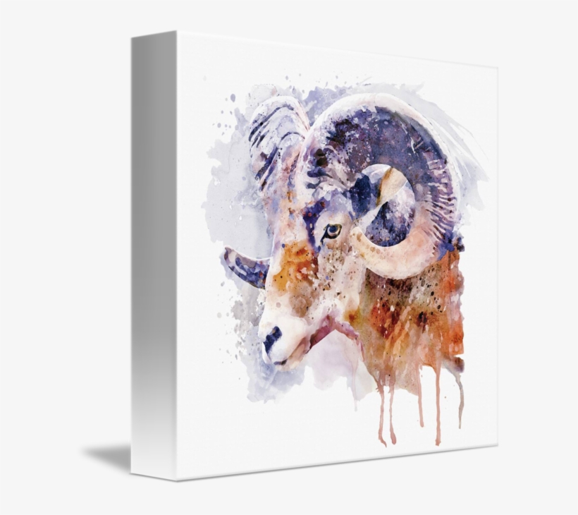 Bighorn Sheep Watercolor Portrait By Marian Voicu - Big Horned Sheep ...