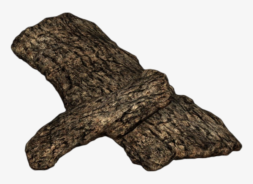 Bark Png PNG Image | Transparent PNG Free Download on SeekPNG