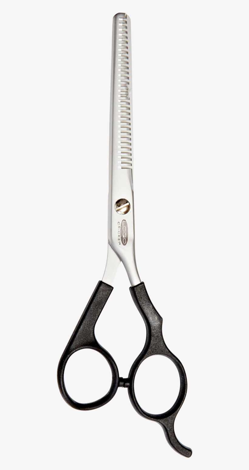 Download Logo By Cricket Shears | Transparent PNG Download | SeekPNG