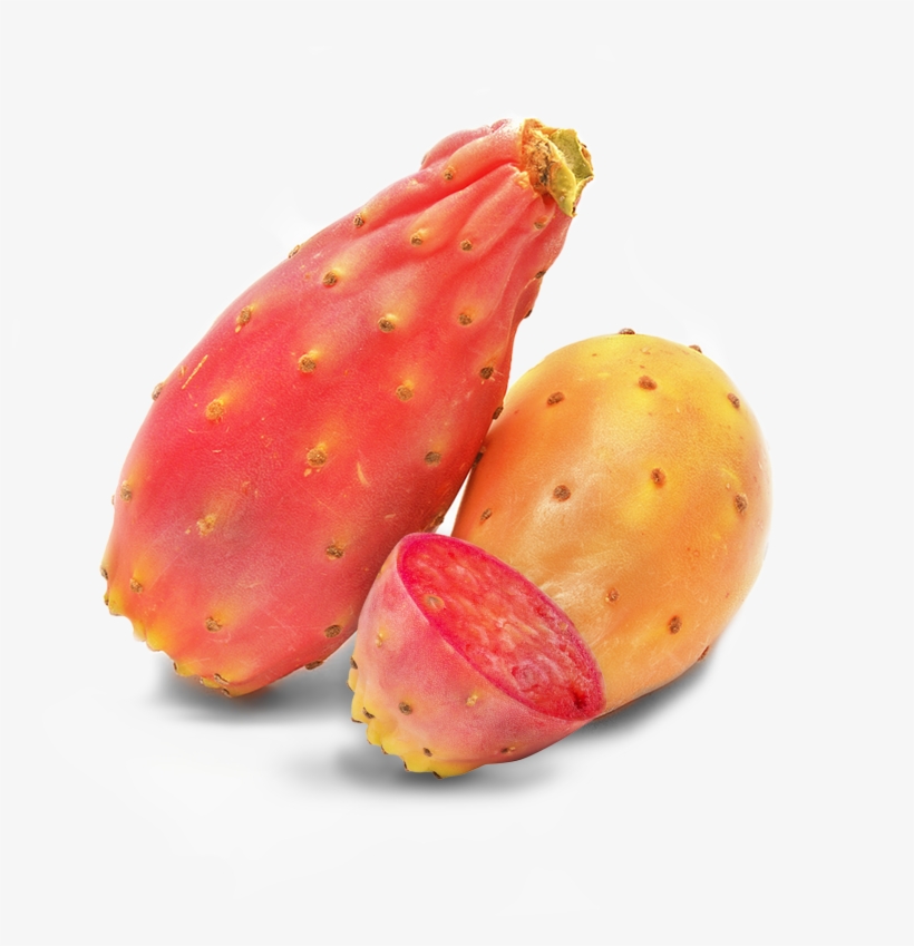 Prickly Pear - Man PNG Image | Transparent PNG Free Download on SeekPNG