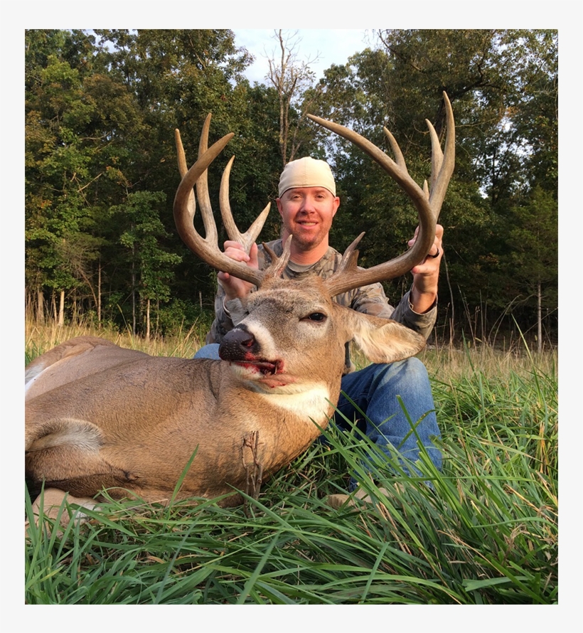 The Hunting Grounds - White-tailed Deer PNG Image | Transparent PNG ...
