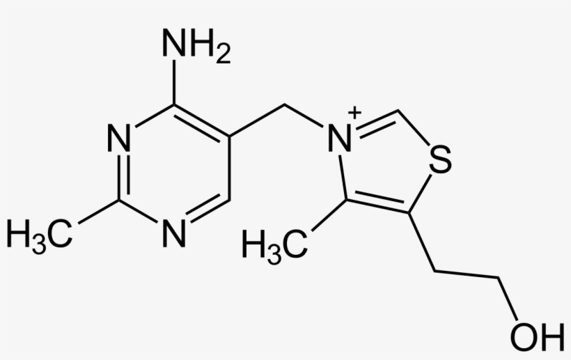Thiamine - Structure Of Vitamins PNG Image | Transparent PNG Free ...