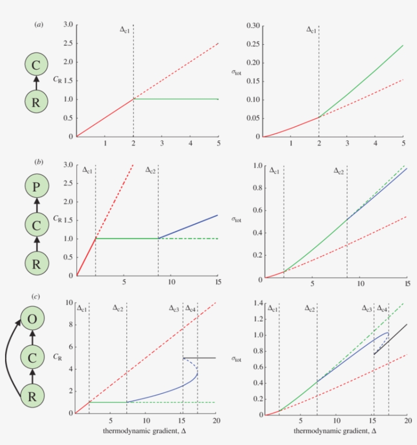 Download - Food Web PNG Image | Transparent PNG Free Download on SeekPNG