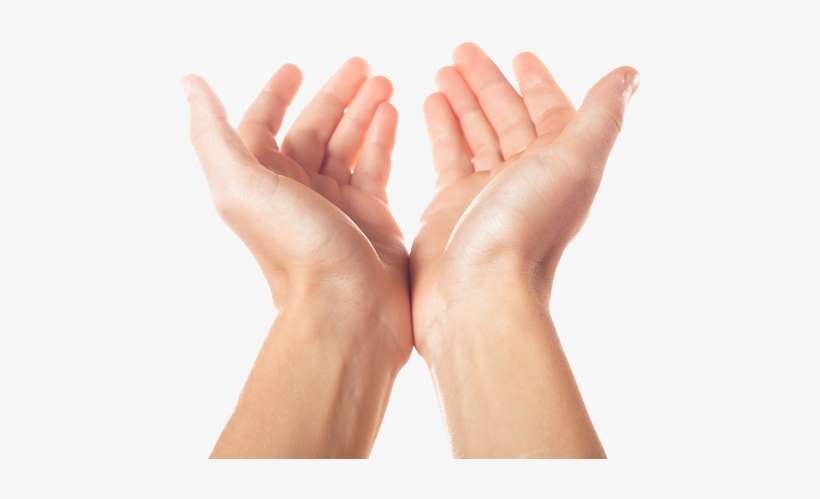 Download Hands Asking For Something | Transparent PNG Download | SeekPNG