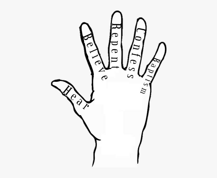 Hand Graphic - Graphics PNG Image | Transparent PNG Free Download on ...