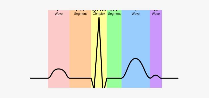 Monitoring Your Ecg With A Portable Inexpensive Device ...